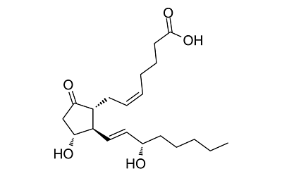 prostaglandin e2 structure