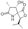 Clasto-Lactacystin b-lactone | 20S proteasome inhibitor | 154226-60-5 ...