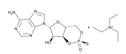 cAMPS-Rp, triethylammonium salt | reversible PKA inhibitor | Buy from ...
