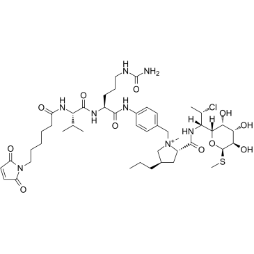 MC-Val-Cit-PAB-clindamycin | protein synthesis inhibitor | Buy from ...