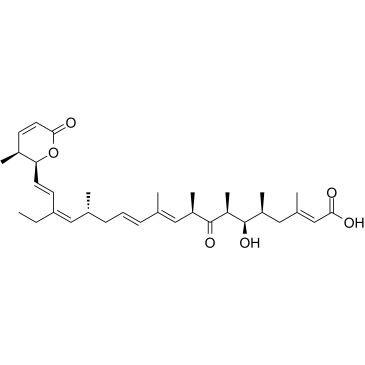 Leptomycin B | nuclear export receptor CRM1 inhibitor | Buy from ...