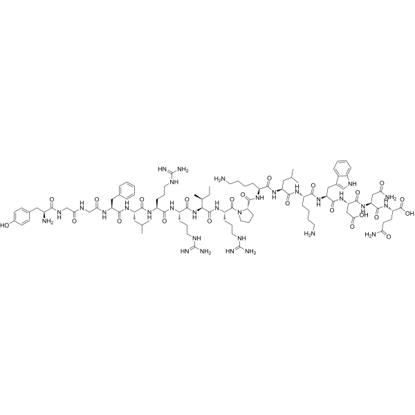 Dynorphin A | Buy from Supplier AdooQ®