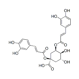 Cynarin | Buy from Supplier AdooQ®
