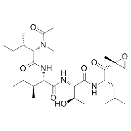 Epoxomicin | Proteasome inhibitor | 134381-21-8 | AdooQ®