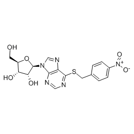 NBMPR (Nitrobenzylthioinosine) | ENT1 inhibitor | Buy from Supplier AdooQ®