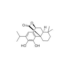 Carnosol | Buy from Supplier AdooQ®