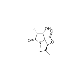 Clasto-Lactacystin b-lactone | 20S proteasome inhibitor | 154226-60-5 ...