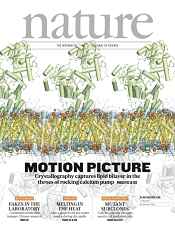 Trevogrumab | Buy from Supplier AdooQ®